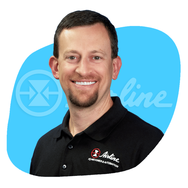 What is a FS Engineer (TÜV Rheinland)?